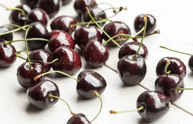 Cherry Tree Guindoux des Charentes Guigne Wholesale EU – Arboriverse ...